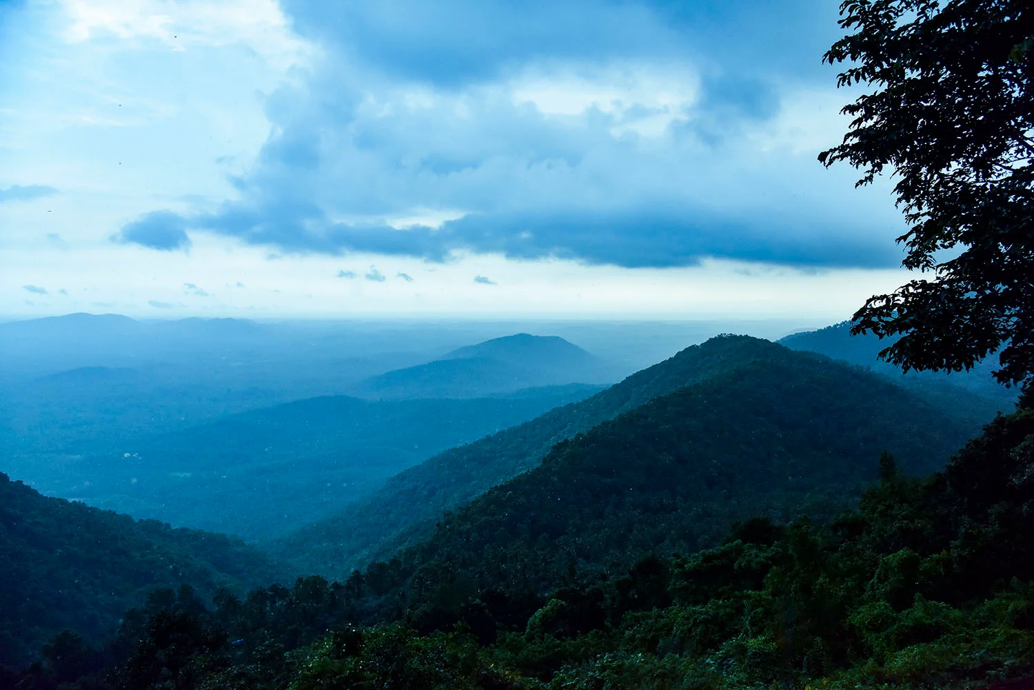 Best Resorts in Kozhikode | Vayalada Resorts, Calicut